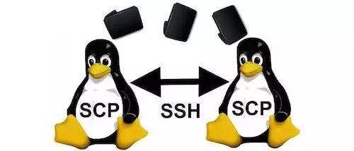 scp 命令 路径_利用scp 远程上传下载文件/文件夹-CSDN博客