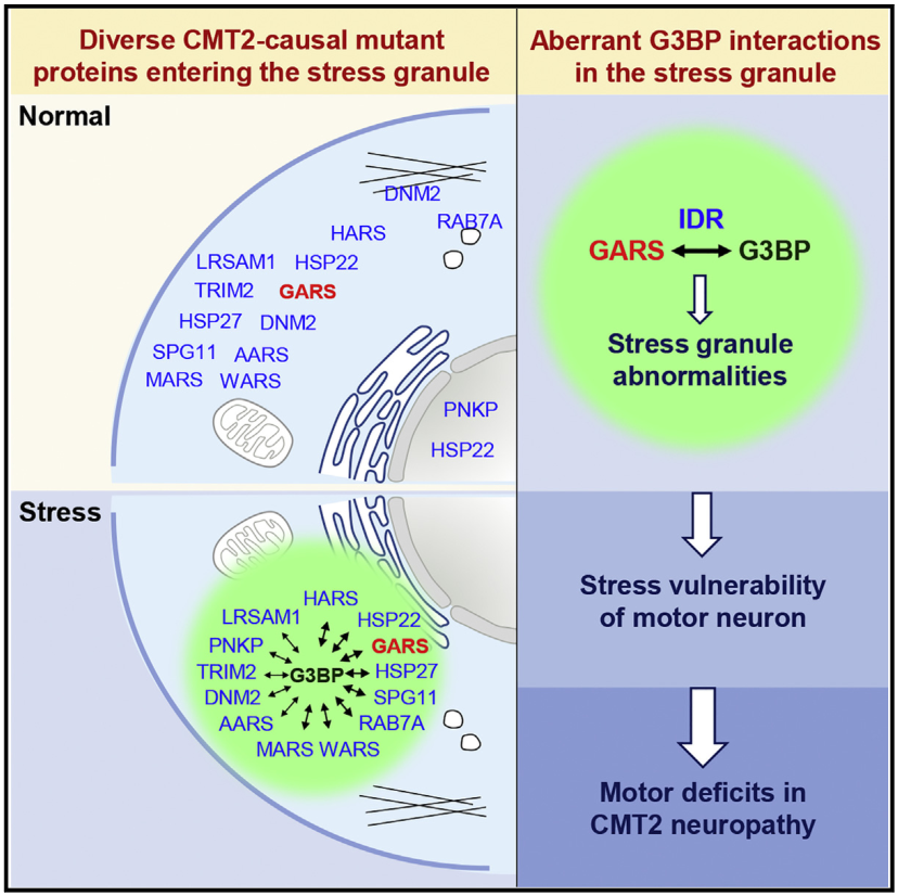 著名C9院校！接连发表5篇Nature/Cell！-CSDN博客