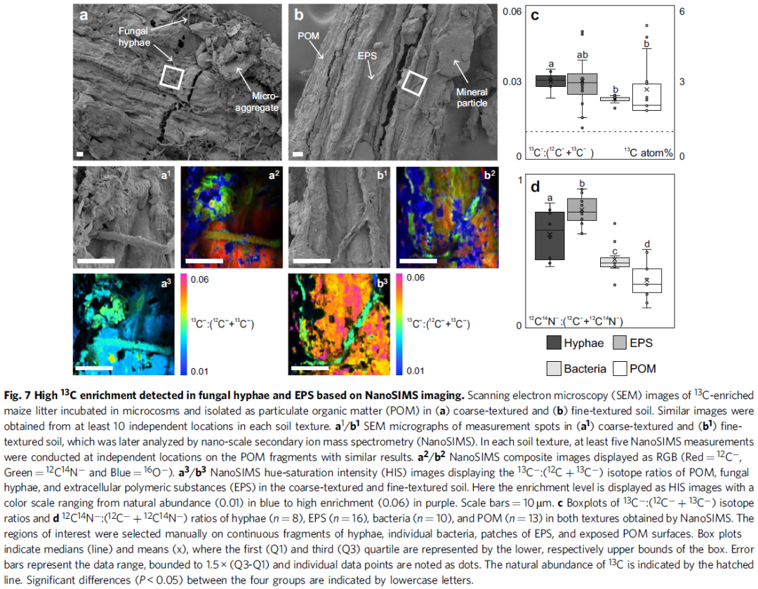 Nature Communications | 颗粒有机物是土壤有机碳的功能组分_particulate organic matter as ...