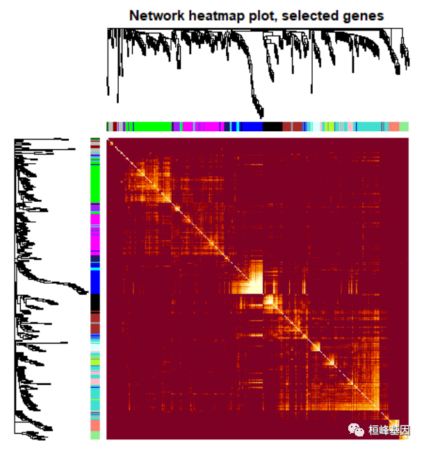 RNA 13. SCI 文章中加权基因共表达网络分析之 WGCNA_wgcna共表达网络分析-CSDN博客
