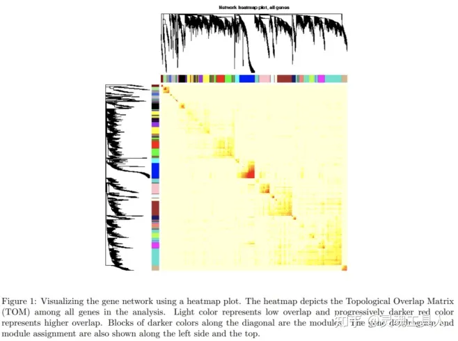 WGCNA那么多图，都啥意思？ 官网_grey模块-CSDN博客
