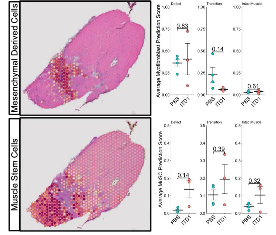 10X空间转录组之绘图小细节分享_空间转录组 featureplot-CSDN博客