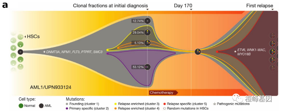 Topic 3. 克隆进化之 fishplot_肿瘤进化怎么画鱼形图-CSDN博客