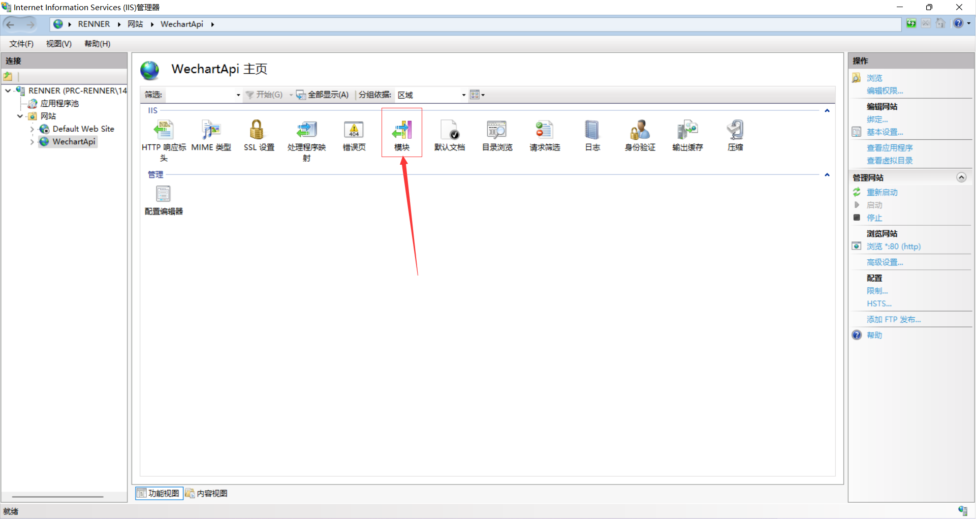 .netCore WebAPI入门到实战(一)_webapi教程-CSDN博客