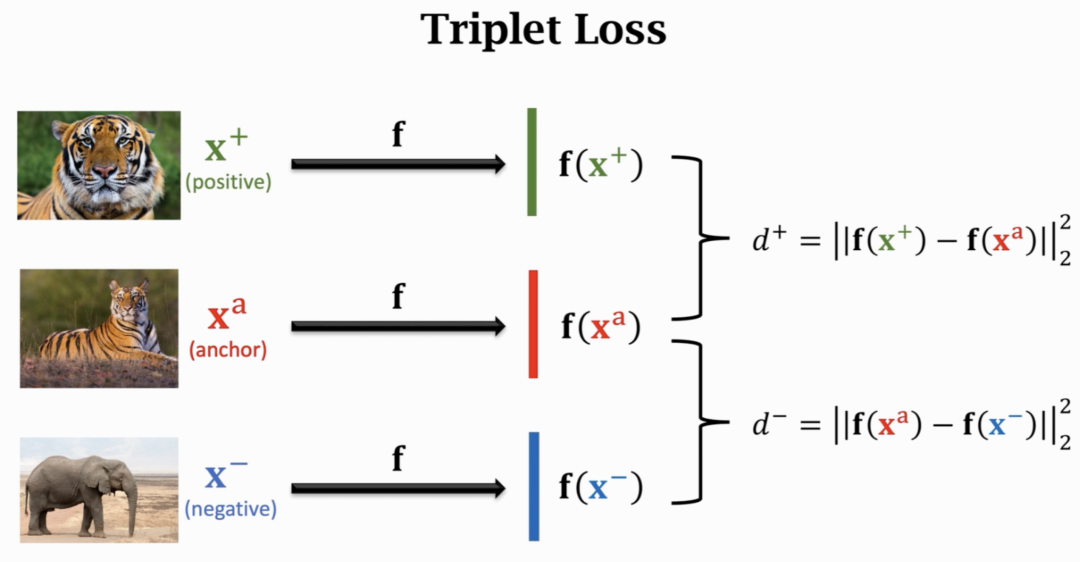 小样本学习与Triplet Loss，数据增强和课程学习-CSDN博客