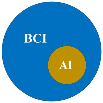 长文干货 | BCI范式与神经编码-CSDN博客