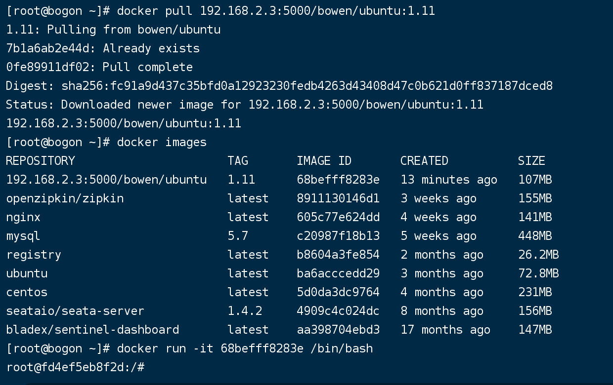 docker # 本地镜像发布到私有库_本地镜像发布到私有库流程_BowenXu11的博客-CSDN博客