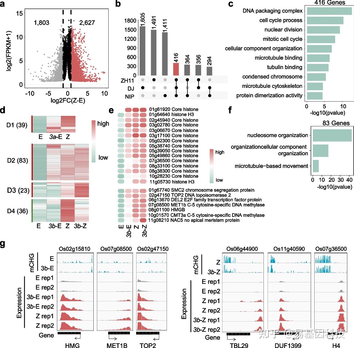 易基因：华中农大周道绣团队利用BS-seq揭示水稻雄性配子发生过程DNA甲基化重编程机｜Genome Biol-CSDN博客