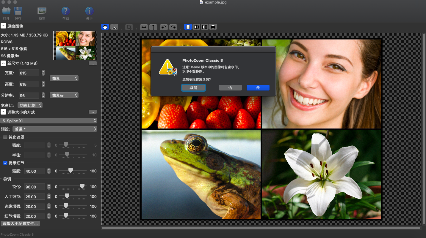 PhotoZoom Pro 8软件安装教程及最新版下载-CSDN博客
