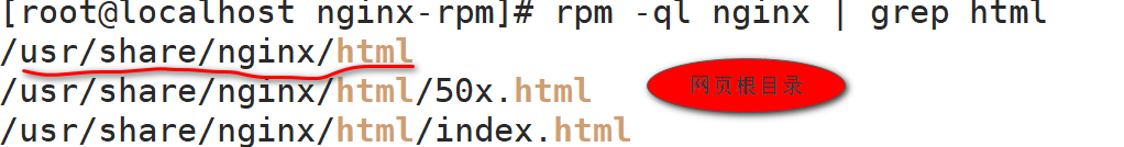 使用RPM快速安装nginx，了解RPM安装nginx各个主要目录的位置_nginx rpm-CSDN博客