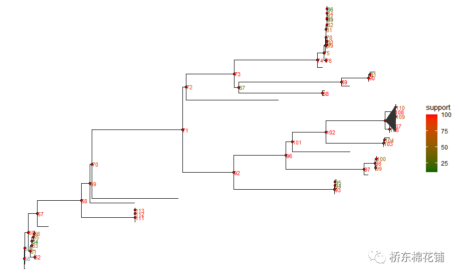 figtree如何编辑进化树_进化树的注释：ggtree_weixin_39747296的博客-CSDN博客