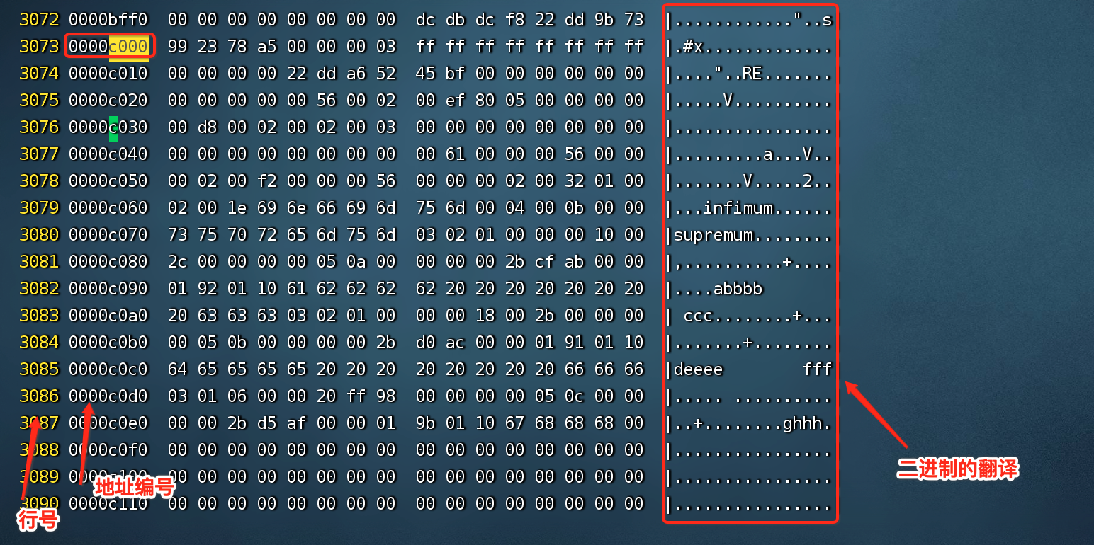 【innodb 存储引擎】innodb 存储引擎的行格式,有 Compact、redundant、dynamic 等行格式还有它们配套实验(实验篇) Compact多个字节怎么存储 Csdn博客