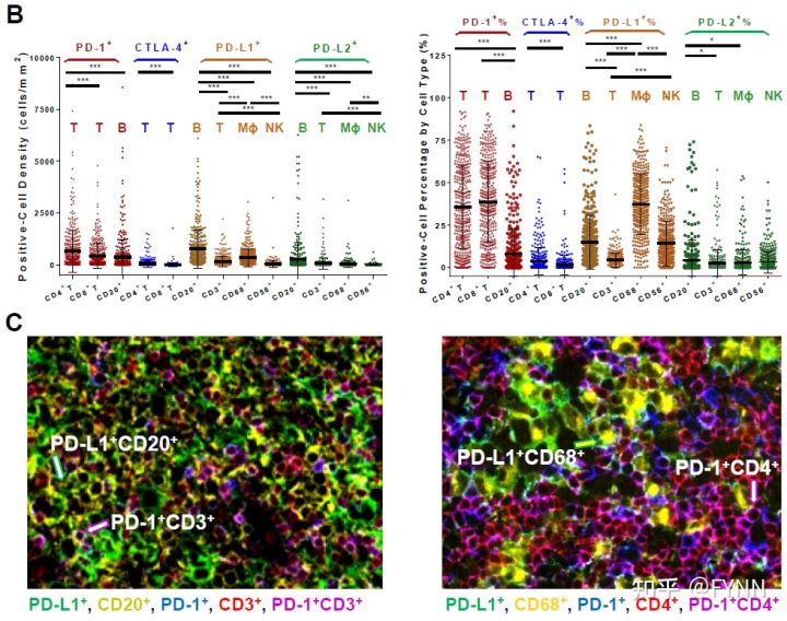 非因解读 | Multiplex immunofluorescnece-多重免疫荧光结合单细胞蛋白组技术探索肿瘤微环境_多通道免疫荧光共定位 ...