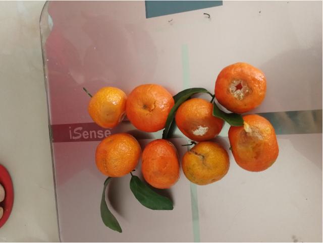 三维错切变换矩阵_python Image.AFFINE 仿射变换 6参数的含义-CSDN博客