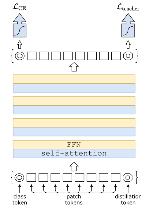 transformer中patch与token？_transformer token-CSDN博客