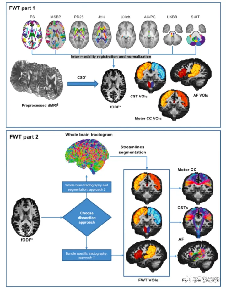 基于约束球面反卷积扩散磁共振的脑白质解剖图谱-CSDN博客