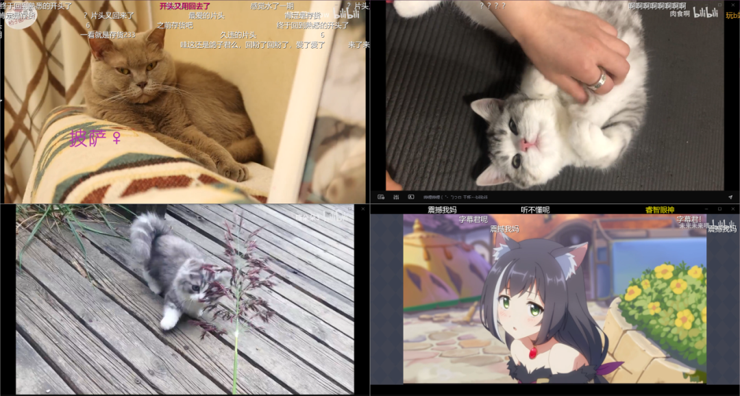 云之幻哔哩哔哩uwp_【UWP】一款很 Fluent Design 的 Bilibili UWP客户端：哔哩-CSDN博客