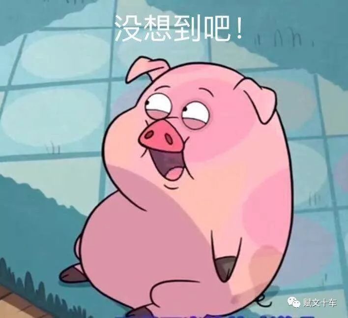 vensim软件_系统动力学Vensim函数库运用专题-CSDN博客