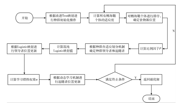 基于混沌映射与动态学习的自适应樽海鞘群算法樽海鞘算法流程图 Csdn博客 