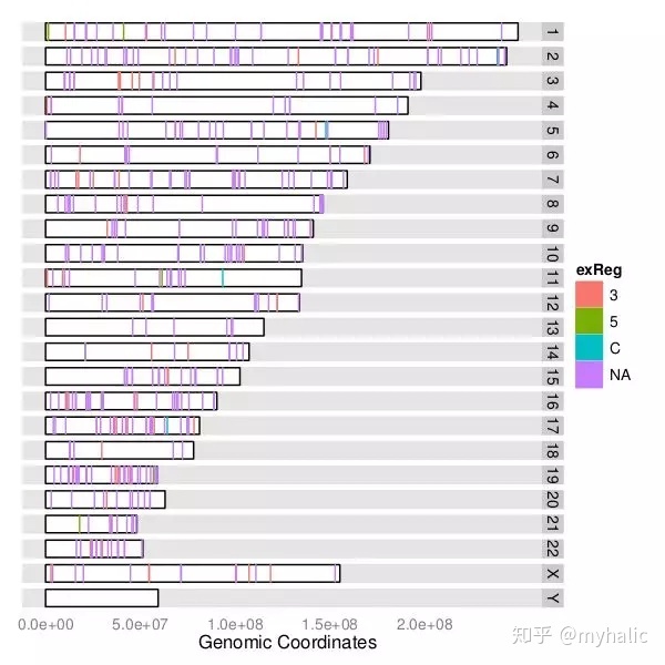 在线画图工具_画最美染色体，就要用这个新工具 | 今天被CRAN接收-CSDN博客