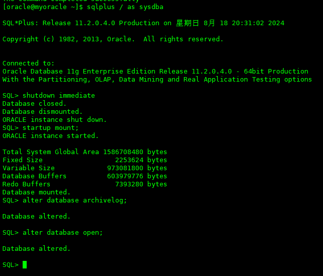 Oracle 11g DataGuard搭建保姆级教程_oracle 11g dg搭建-CSDN博客