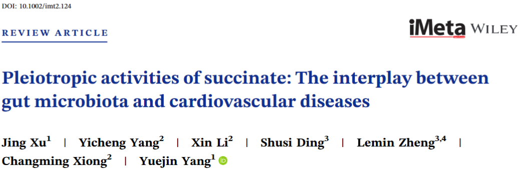 iMeta | 杨跃进/熊长明/郑乐民综述琥珀酸的多效性：肠道菌群与心血管疾病的相互作用...-CSDN博客