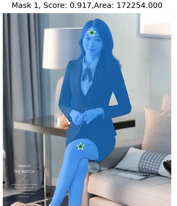 基于SAM模型的交互式图像分割实现_sam怎么交互-CSDN博客