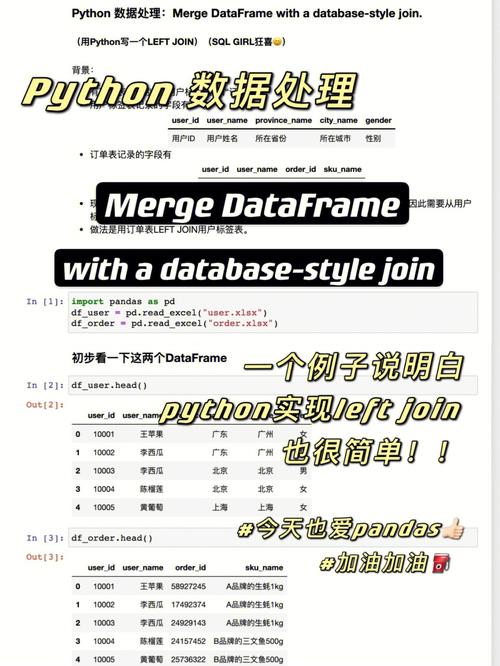 Python数据处理程序代码python如何做数据处理python数据处理基本操作 Csdn博客