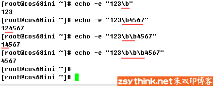 python echo命令_echo命令详解 （一） 真的很详细-CSDN博客