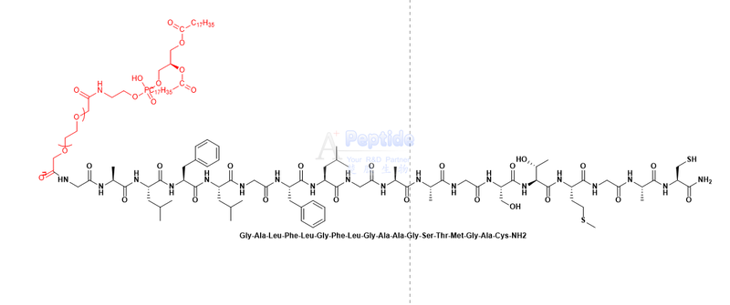 DSPE-PEG-MPG（细胞穿膜肽；DSPE-PEG-GALFLGFLGAAGSTMGAC-NH2（二硬脂酰基磷脂酰乙醇胺-聚乙二醇-PH响应性细胞穿膜肽)_dspe-peg-nhs与肽反应 ...