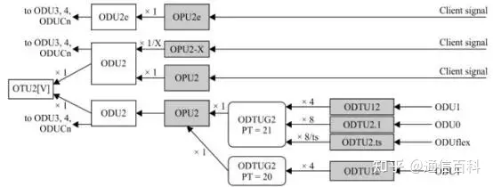 光传送网OTN的速率解析_otn100g帧结构-CSDN博客