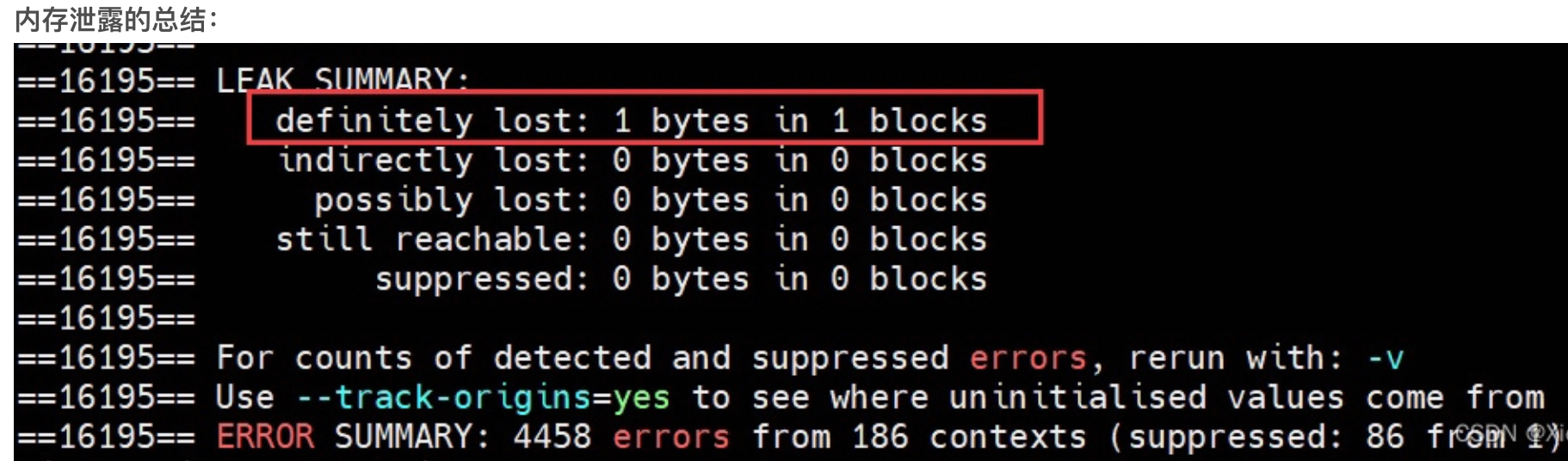 Linux在堆上分配内存相关知识以及内存泄漏分析方法_stack-use-after-scope-CSDN博客