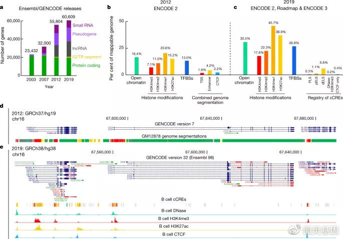 dna编码库_Nature |DNA元件百科全书（ENCODE）计划, 全面注释基因组元件-CSDN博客