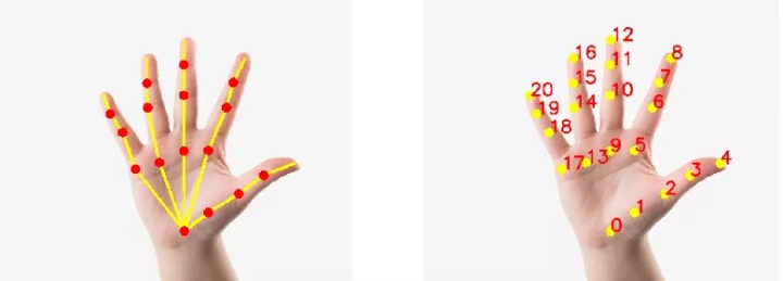 openpose安装_模型转换实战分享：OpenPose手部关键点检测模型的迁移部署-CSDN博客