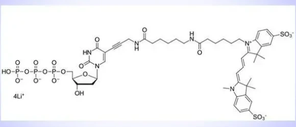 磺基氰基3dUTP，sulfo-Cyanine3 dUTP，可以使用各种dNTP进行标记，标记的三磷酸盐_cy3的dntp-CSDN博客