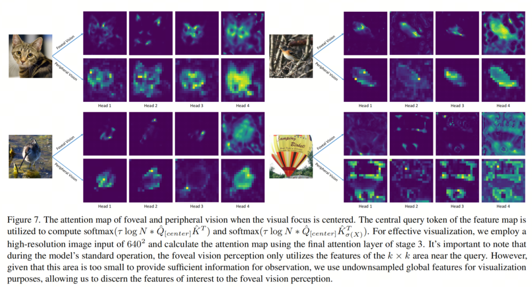 TransNeXt：昨日最强已不强，TransNeXt-Tiny刷新ImageNet！-CSDN博客