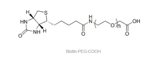 生物素聚乙二醇羧基Biotin-PEG-COOH；COOH-PEG-Biotin结构式-CSDN博客