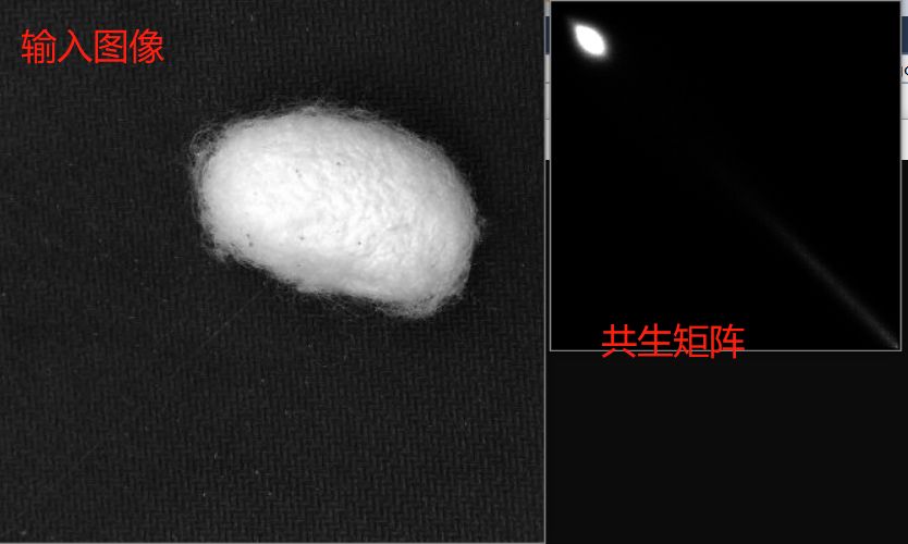 基于灰度共生矩阵(GLCM)的图像纹理分析与提取-CSDN博客