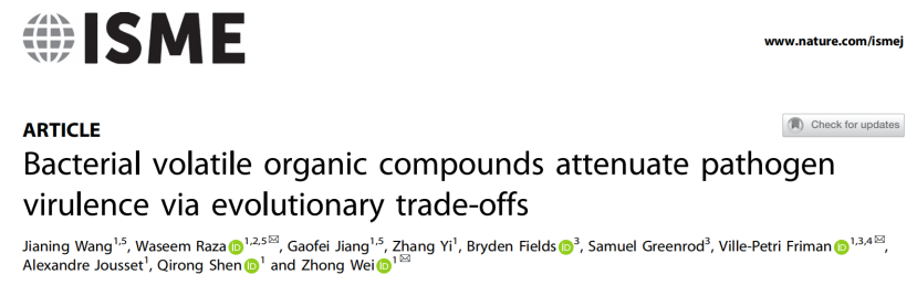 ISME|沈其荣院士团队最新研究表明土壤细菌挥发性有机物可减弱青枯菌致病能力-CSDN博客
