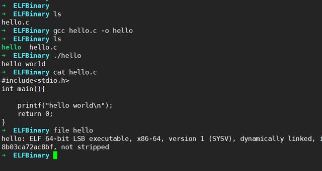 plt文件格式c++读取_ELF文件格式解析-CSDN博客