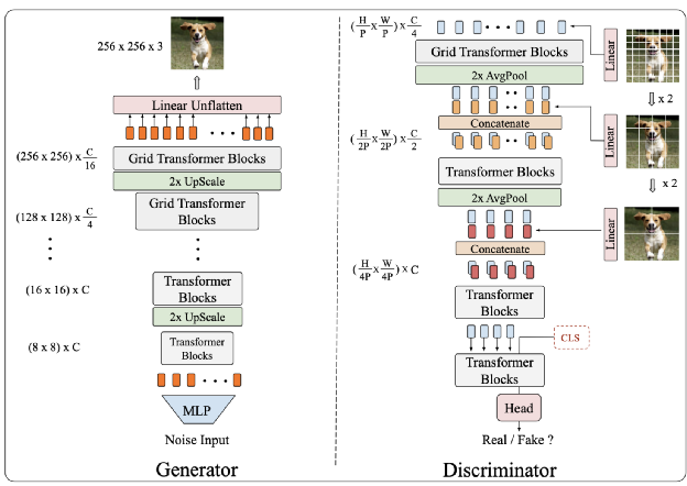 TransGAN更新！用纯Transformer构建高分辨率GAN | 附代码-CSDN博客