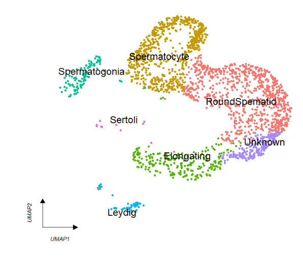 单细胞数据可视化R包 | scRNAtoolVis 0.0.3 版本更新-CSDN博客