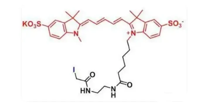 磺酸 Cy5 碘乙酰胺，Sulfo-Cy5-Iodoacetamide，是连接生物分子与光学检测之间的桥梁-CSDN博客