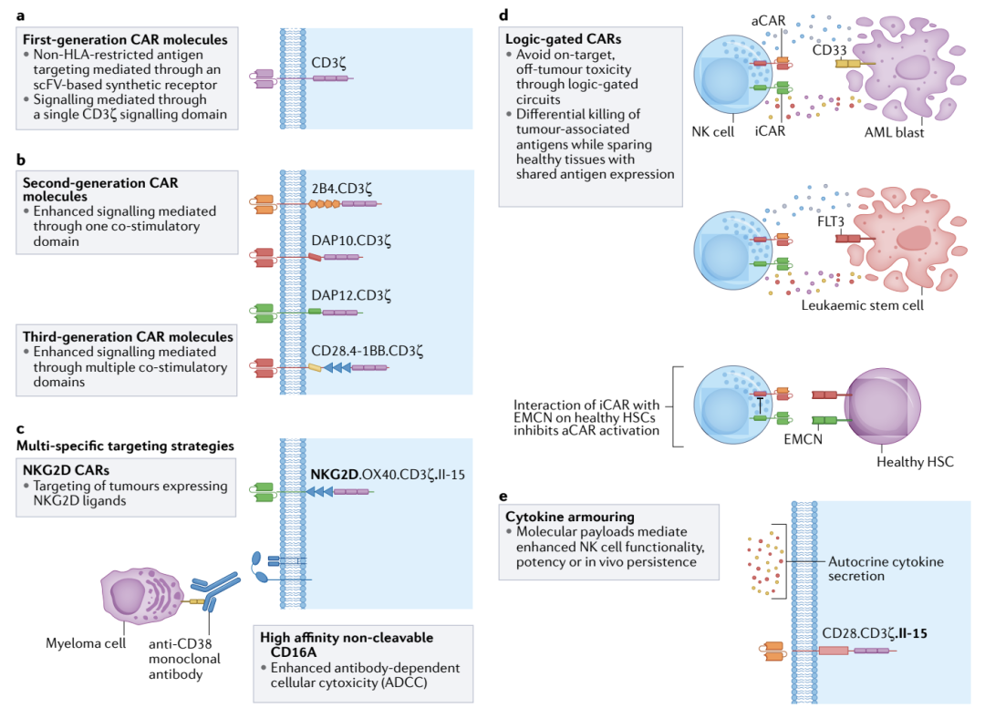 免疫战队的新兴战士——CAR-NK细胞_通用car-nk-CSDN博客