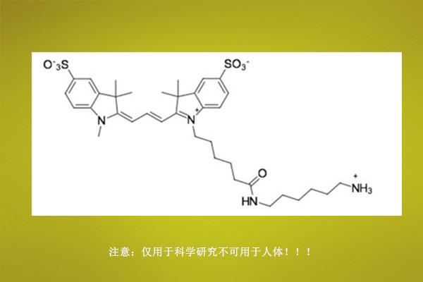 高度耐光Sulfo-Cy3 amine，2183440-43-7，Sulfo-Cyanine3 NH2，磺化Cy3氨基，水溶性菁染料-CSDN博客
