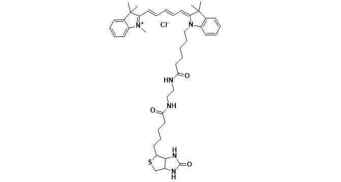 Cyanine5 Biotin，Cy5 Biotin，显示出很好的抗生物素结合和强荧光，Biotin-Cy5，Biotin-Cyanine5-CSDN博客