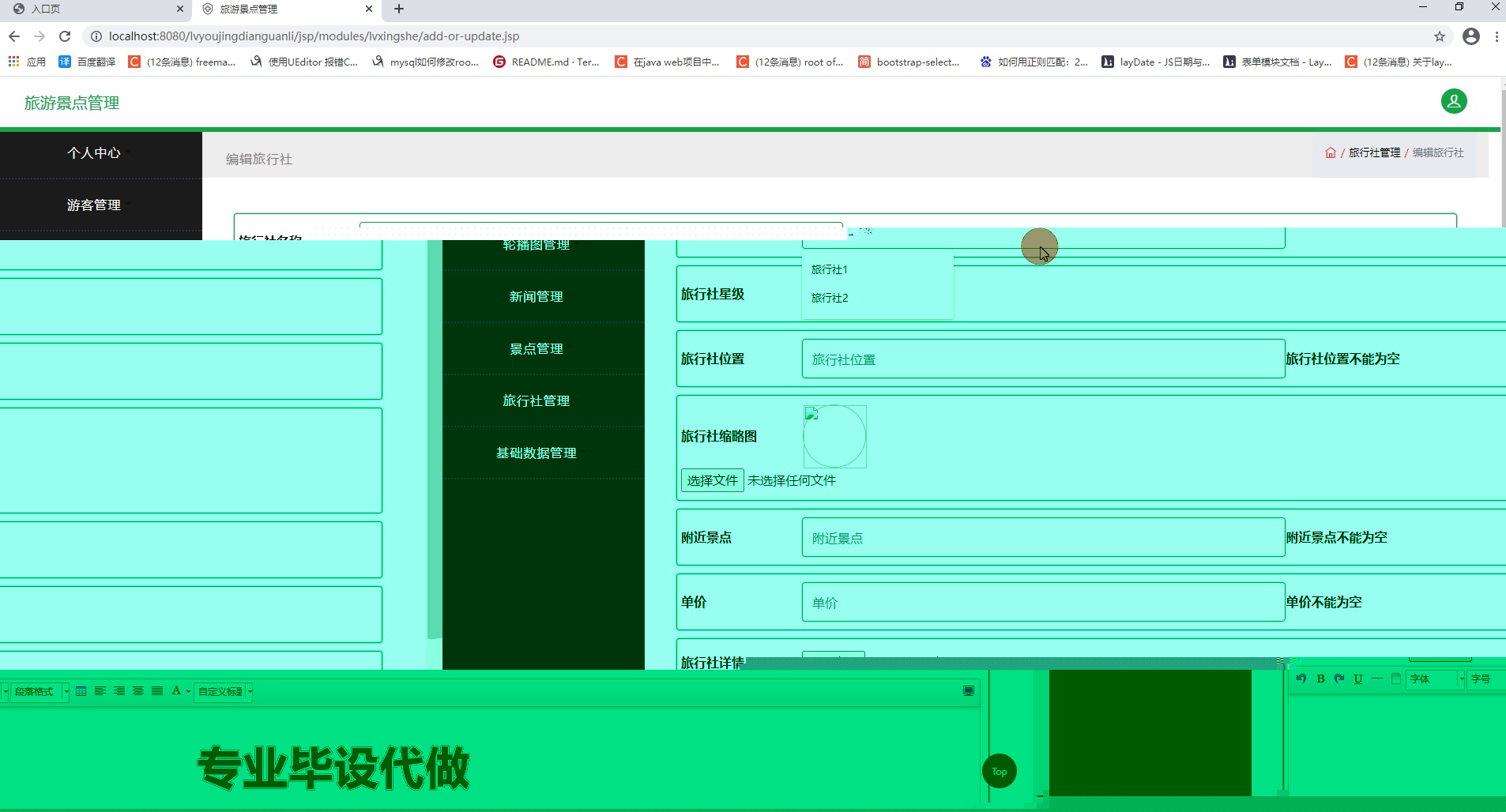 基于springbootvuessm旅游景点管理系统设计的设计与实现资源下载 Csdn博客 
