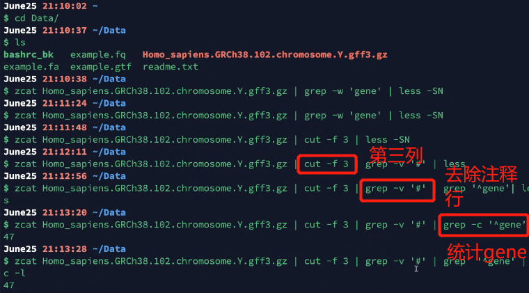 Linux进阶 vim grep sed awk 正则表达式_vim awk-CSDN博客