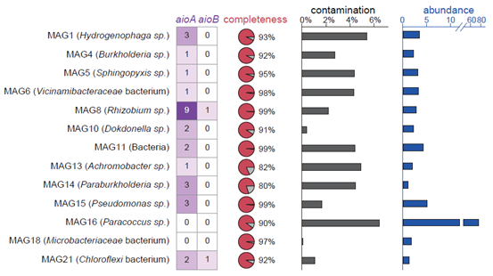 FEMS：广东生态所孙蔚旻组利用DNA-SIP宏基因组揭示锑氧化微生物及其代谢途径...-CSDN博客